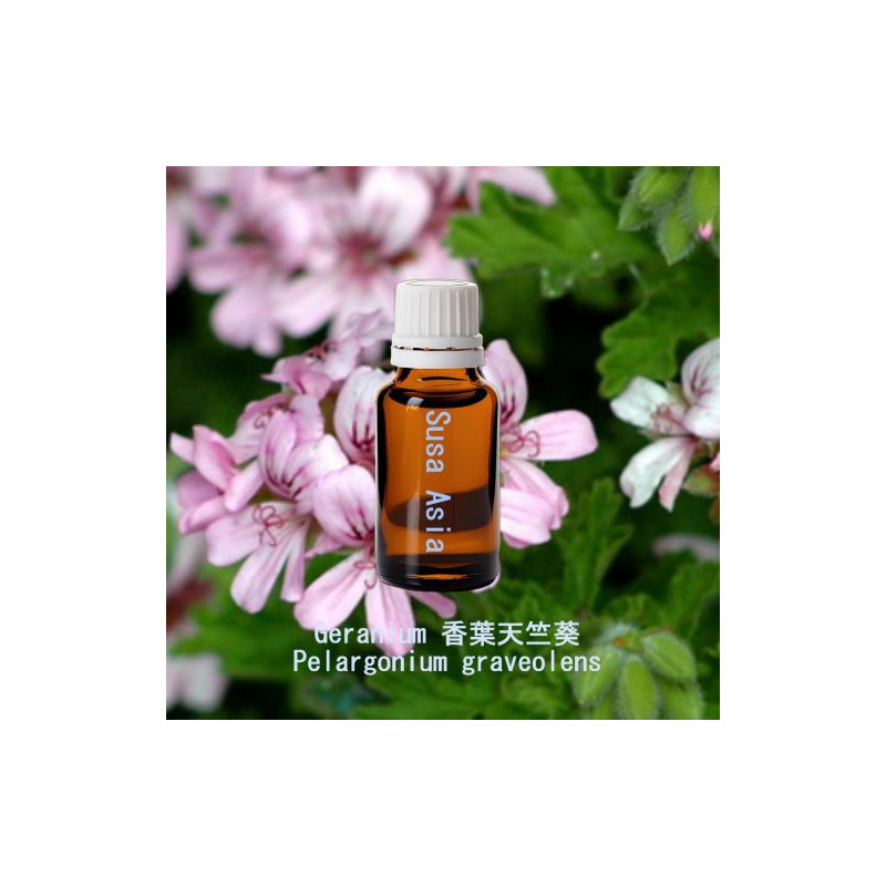 Geranium - Pelargonium graveolens